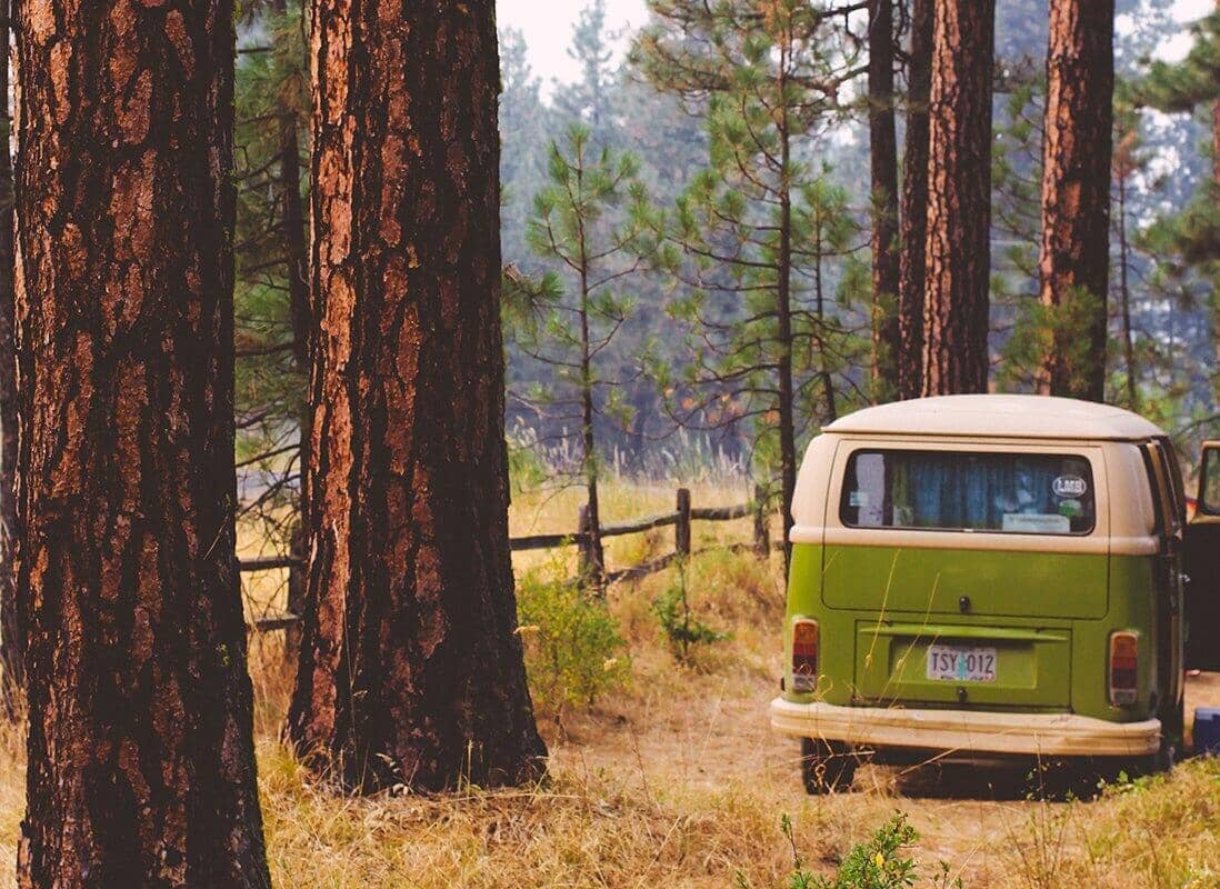 How to plan an eco-friendly road trip? – Rose Boreal
